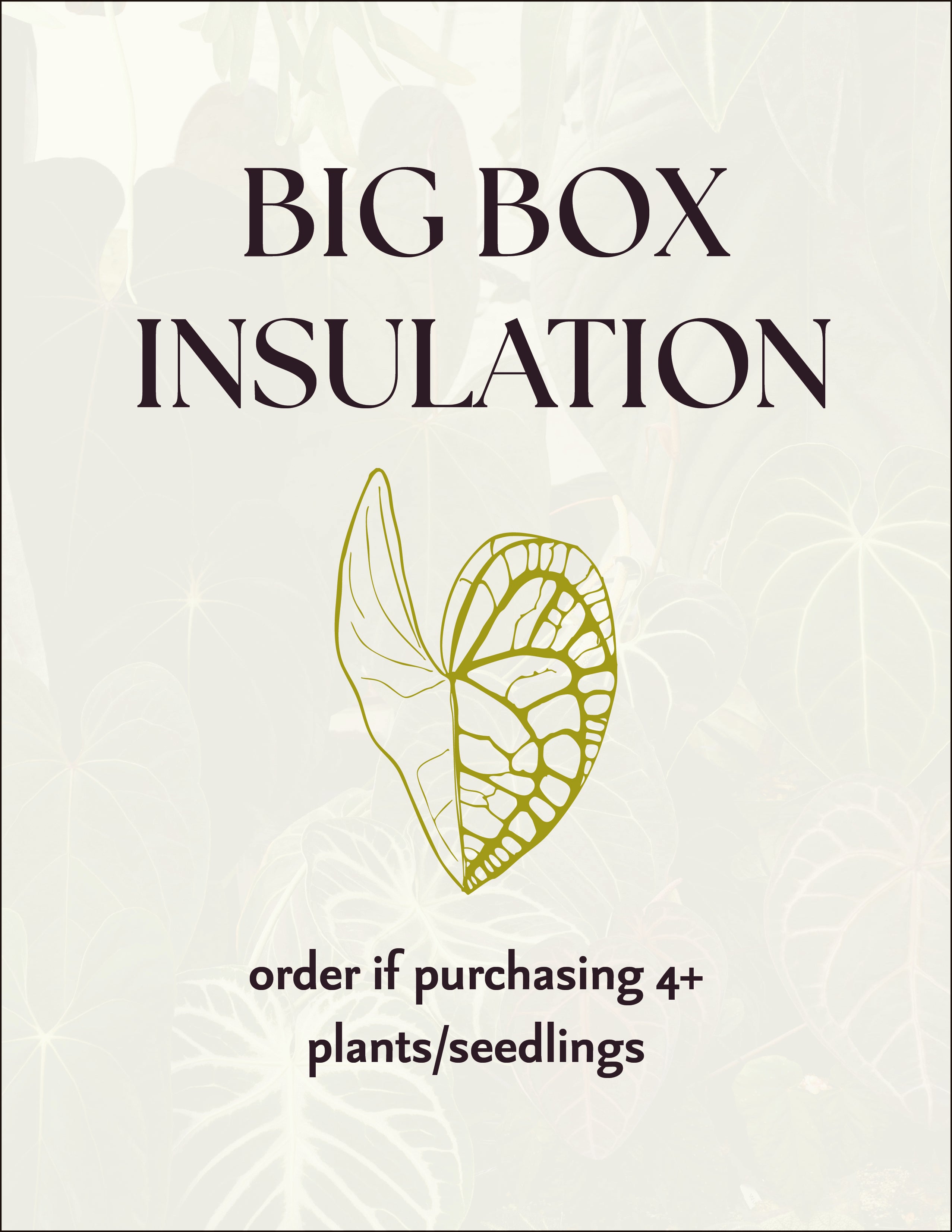 Big box insulation (4+ plants) – PhytoRot Plant Company